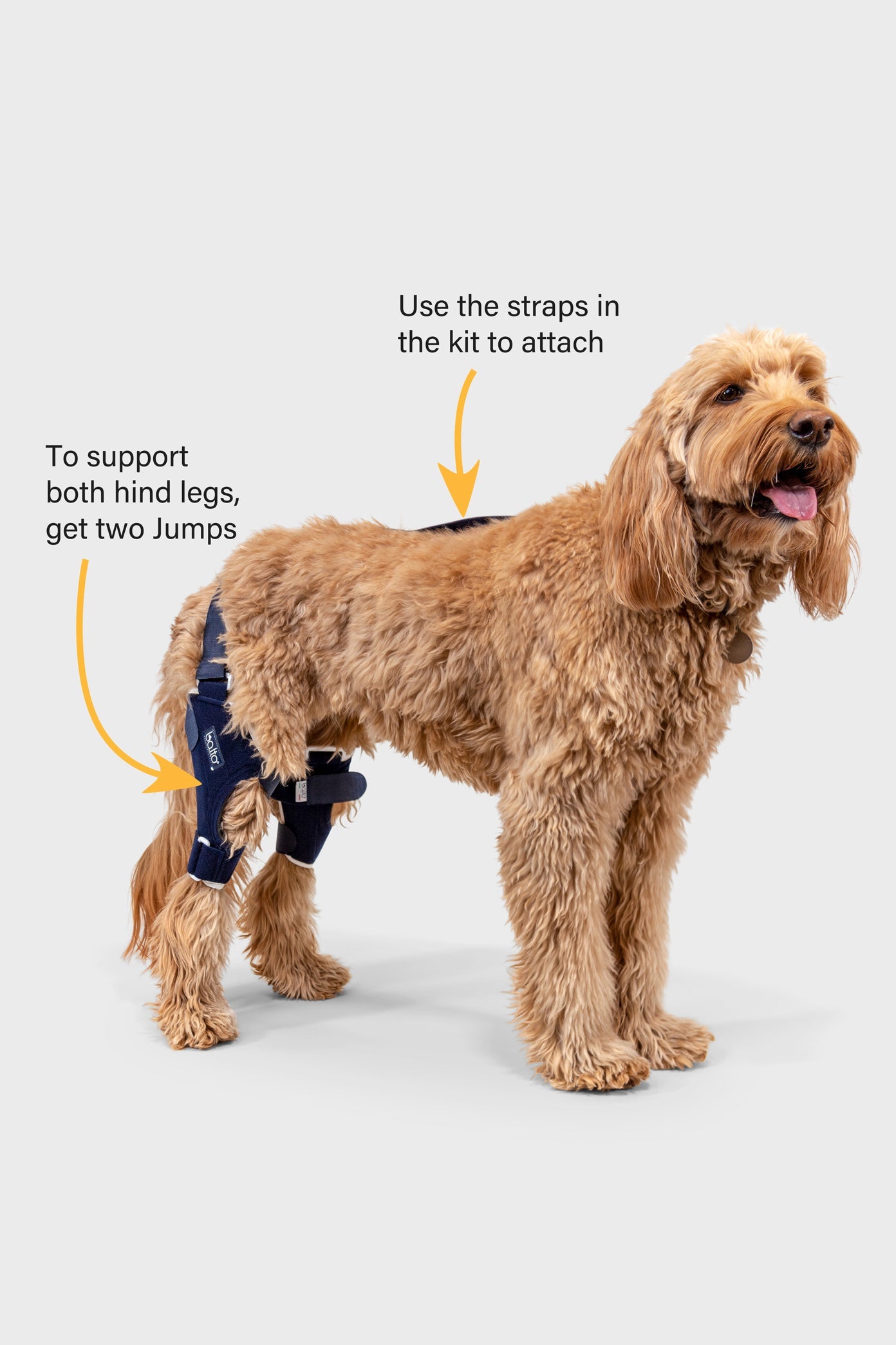 Canine Knee & CCL Brace – Balto® UK